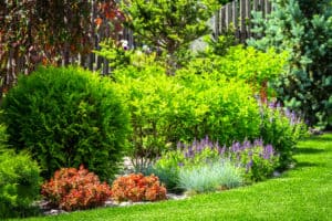 How to Build a Garden Plot: A Step by Step Guide – Backyard Sidekick