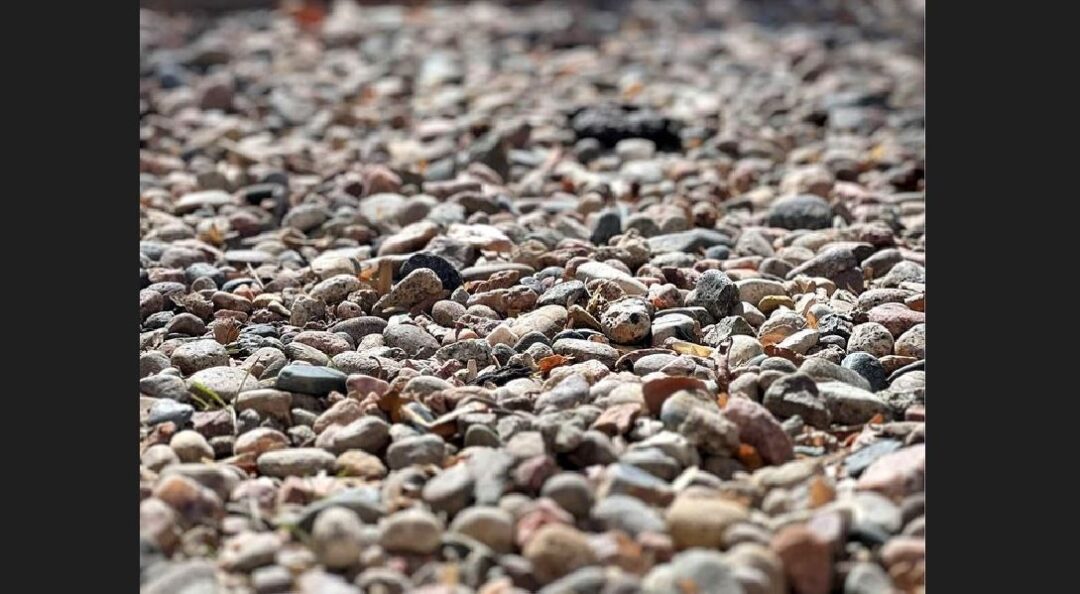 How to Dye or Stain Landscape Rocks the Right Way – Backyard Sidekick